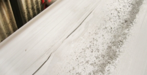 Conveyor Belt Tear: Causes and Solutions